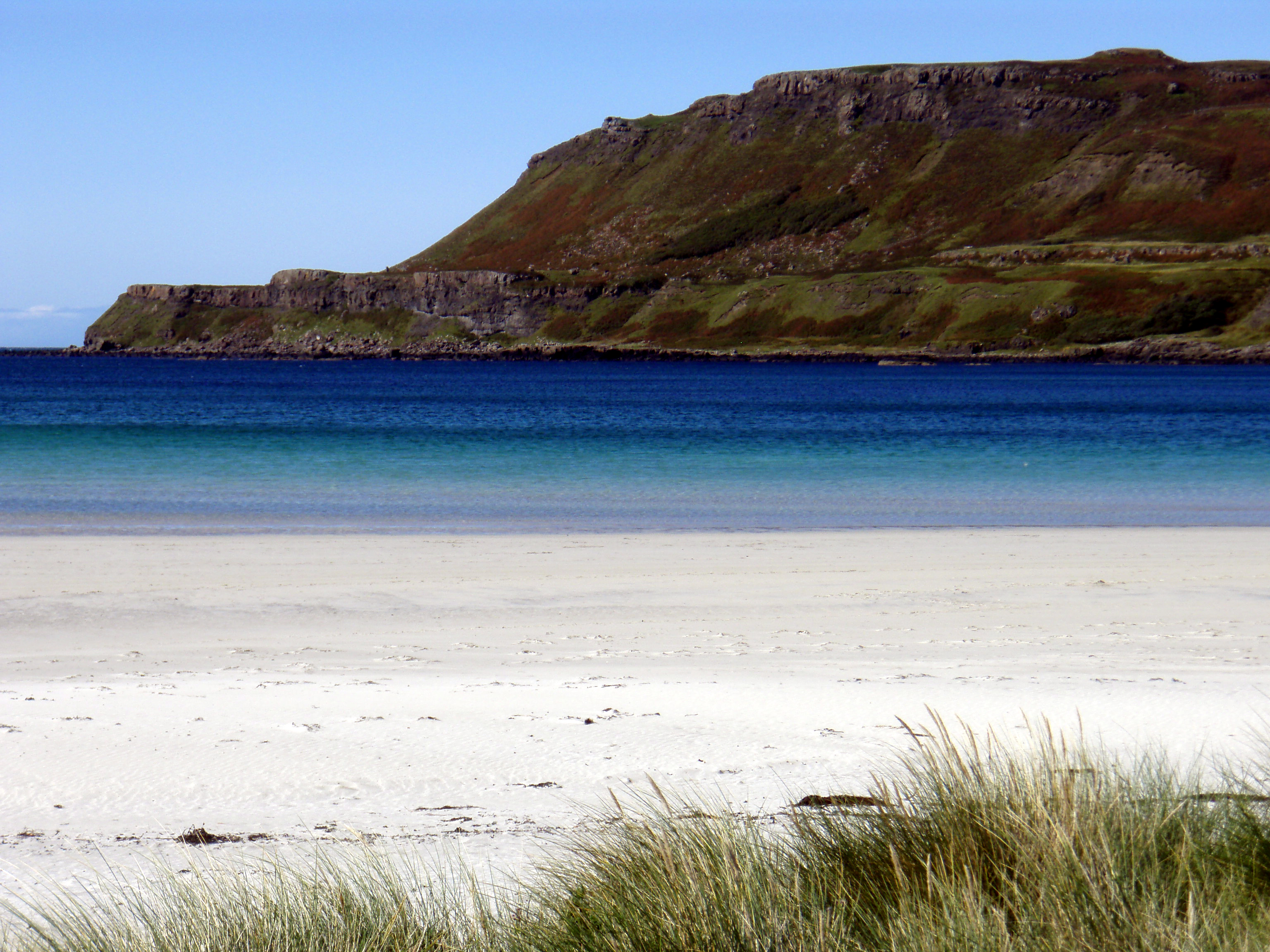 Mull wildlife by Robin McKelvie